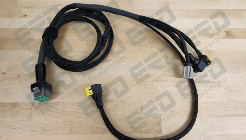 Custom Wire Harnesses – ERD Powertrain